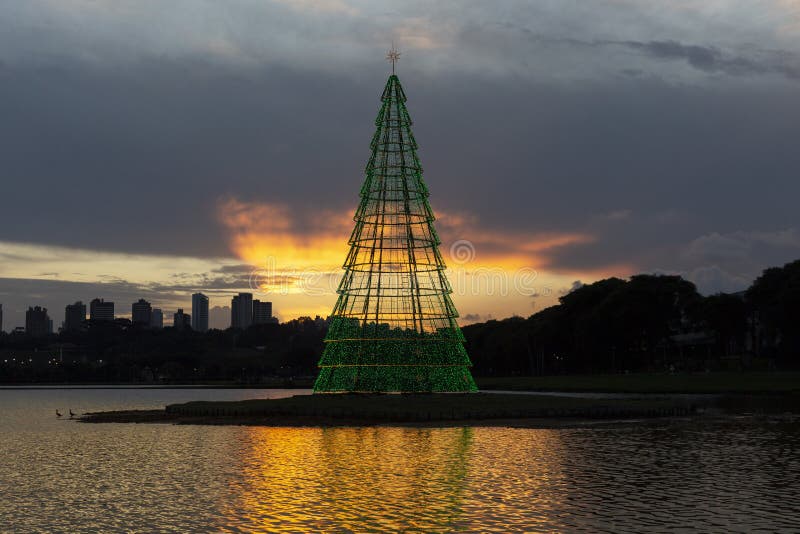 865 Tree Curitiba Stock Photos - Free & Royalty-Free Stock Photos from ...