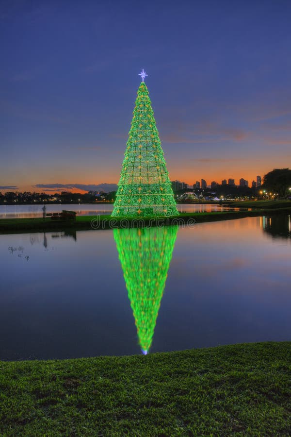 865 Tree Curitiba Stock Photos - Free & Royalty-Free Stock Photos from ...