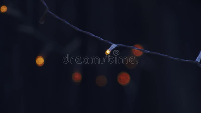 String of Christmas Lights in the Forest, Out of Focus in the Spruce ...