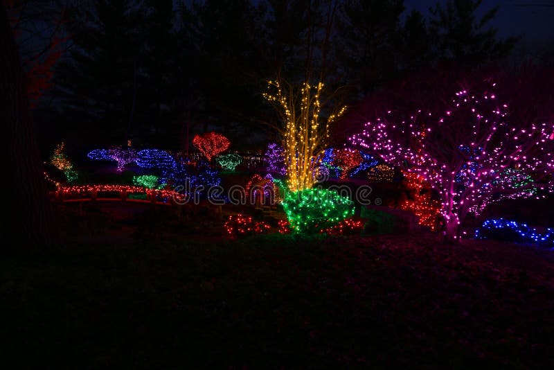 Christmas Lights on a Cold Winter Night Stock Photo - Image of lights ...