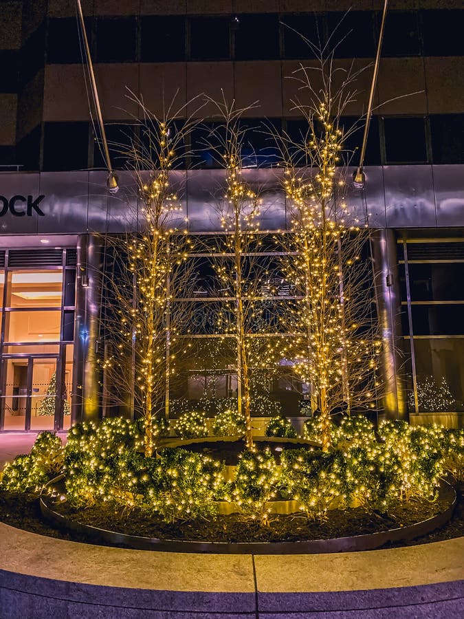 Christmas Lights and Decorations on Display at Night. Stock Photo ...