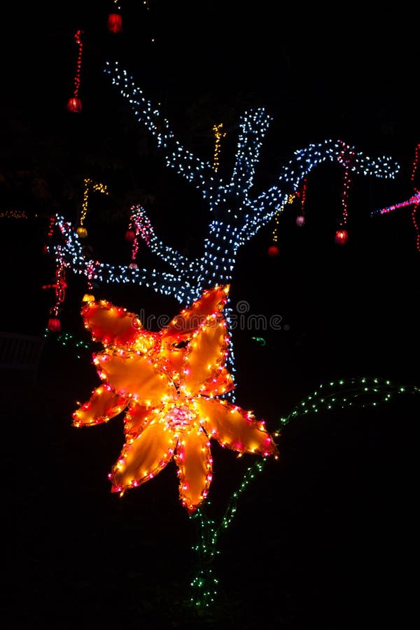 Christmas Lights Form a Garden of Flowers Stock Photo - Image of ...