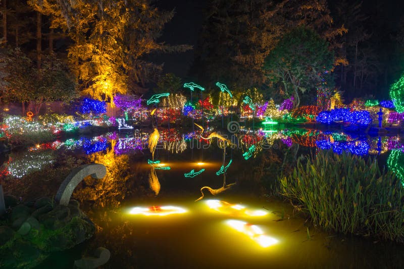 Christmas Lights Reflection Stock Photo - Image of decoration, festival ...