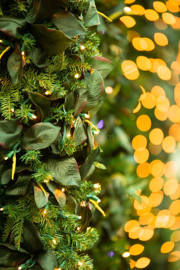 Christmas Lights and Tree Backdrop Stock Photo - Image of defocused ...
