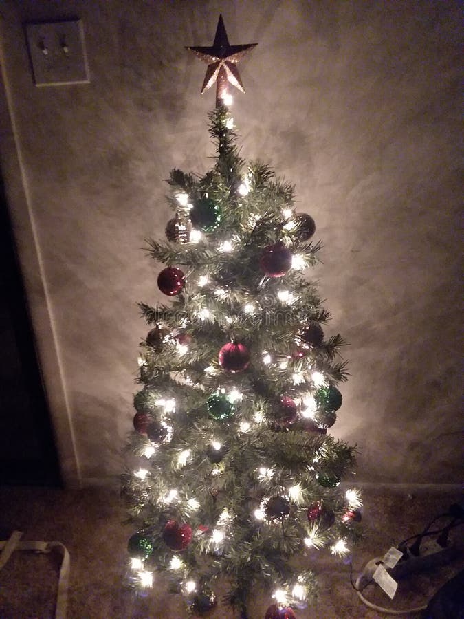 Christmas stock image. Image of little, christmas, tree - 134423857