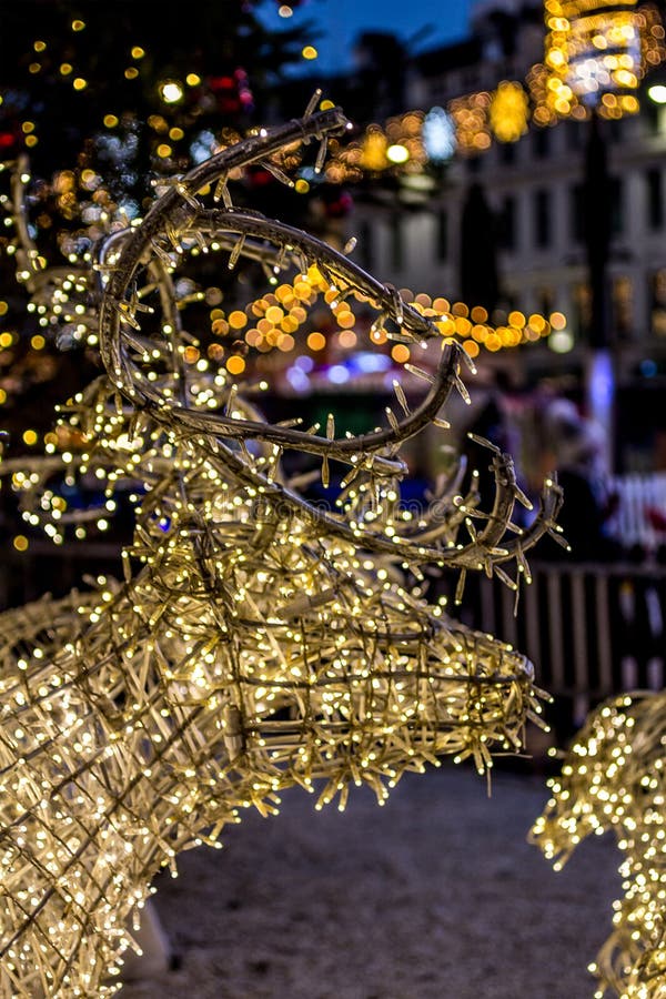 Christmas Magic Reindeer and Flickering Lights at Christmas Fair Stock ...