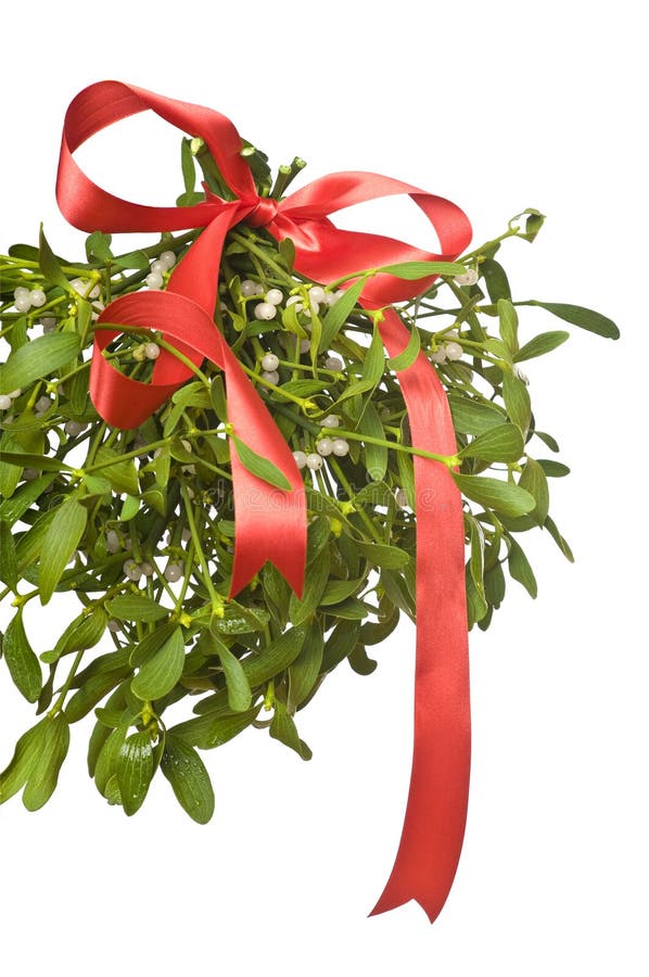 Christmas Mistletoe Isolated Stock Photo - Image of beneath, gold: 371682