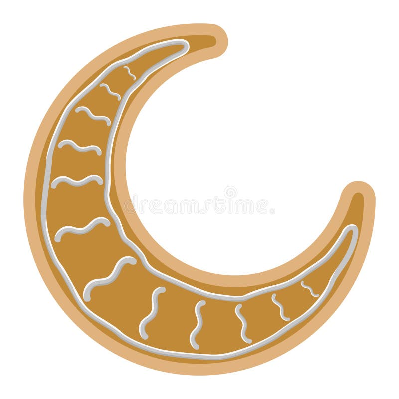 Christmas Moon Gingerbread Cookie Stock Vector - Illustration of food ...