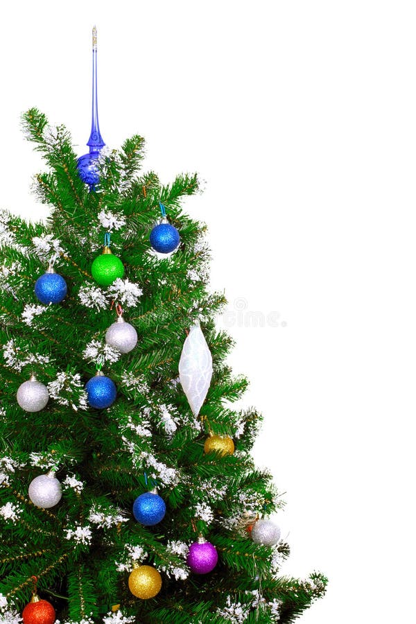 Christmas and New Year Tree. Isolated Stock Image - Image of case ...