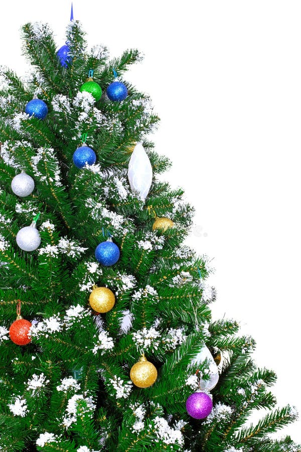 Christmas and New Year Tree. Isolated Stock Photo - Image of holiday ...