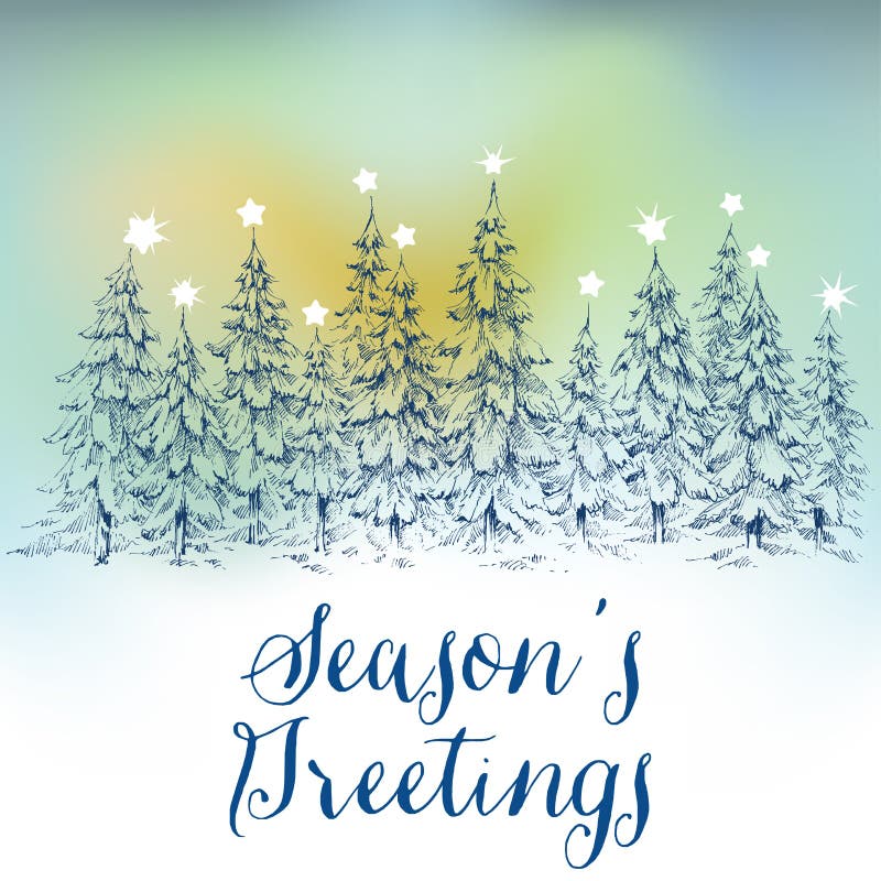 Christmas Night Landscape. Pine Trees Forest Stock Image - Image of ...