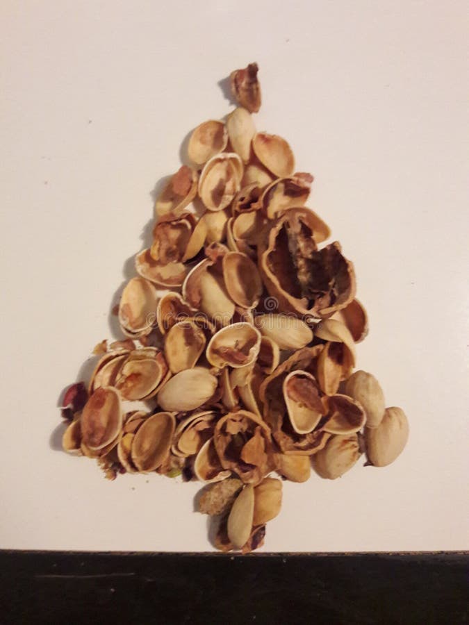 Nuts tree leaves stock photo. Image of leaves, plant - 79366766