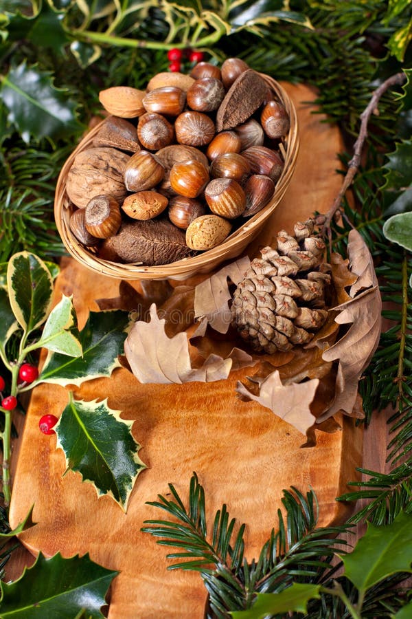 Christmas nuts stock photo. Image of variety, almond - 35905182