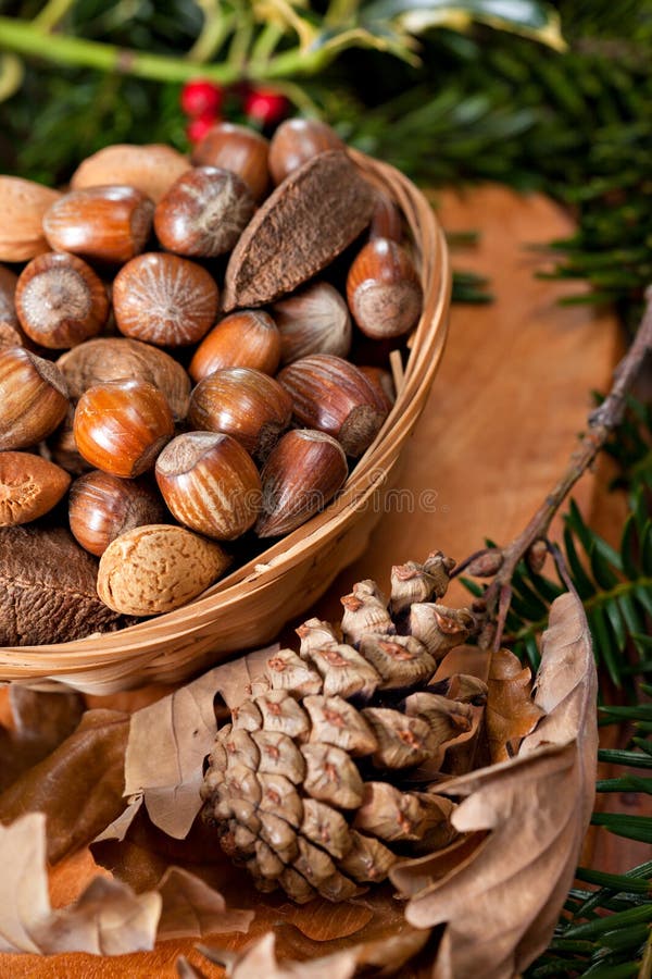Christmas nuts stock photo. Image of variety, almond - 35905182