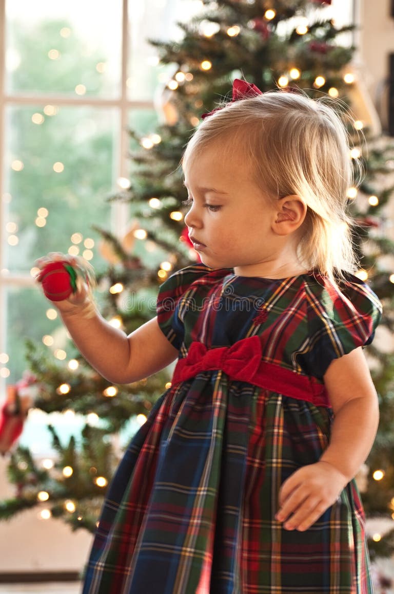 1,680 Christmas Spinning Wolf Stock Photos - Free & Royalty-Free Stock ...