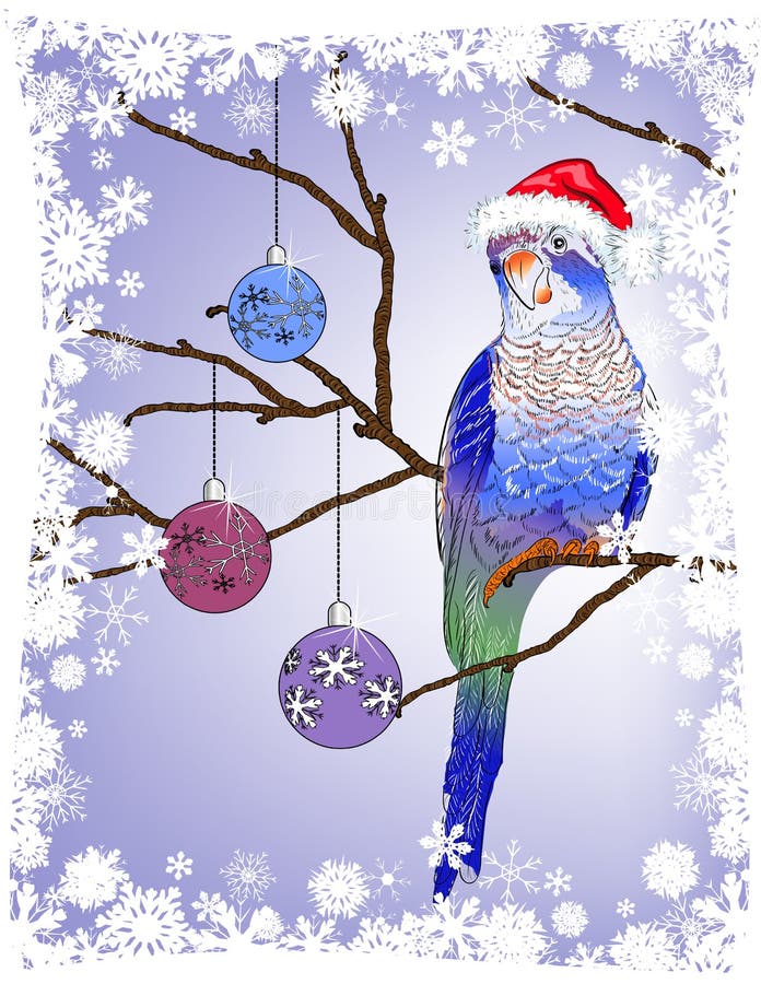 Christmas Parrot with Decorations on a Tree Branch Stock Vector ...