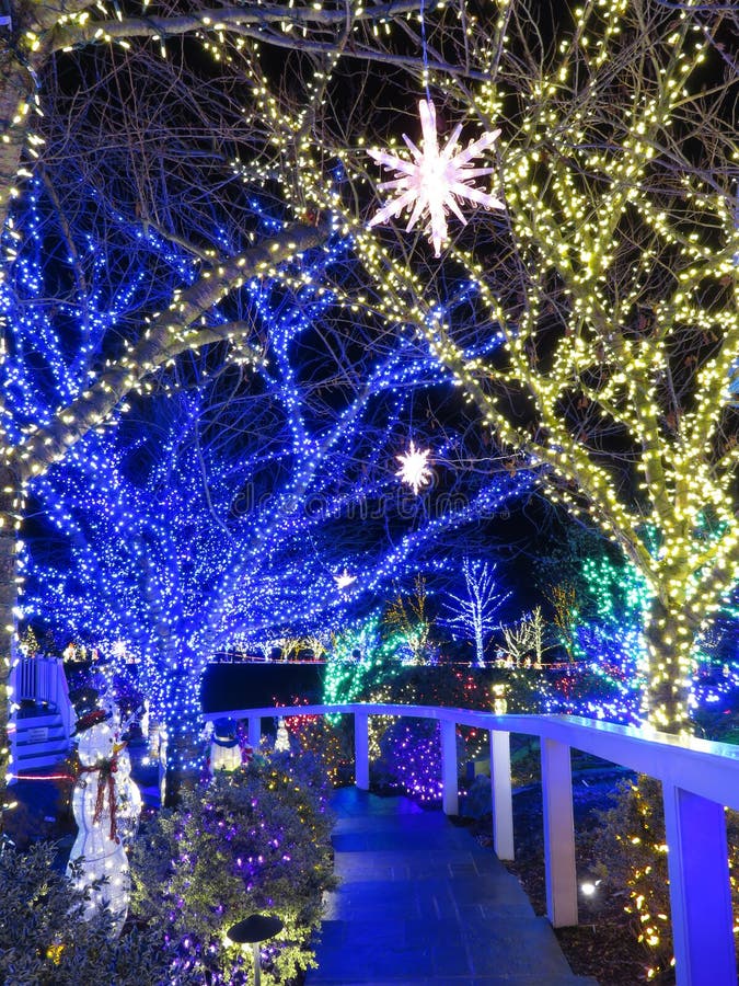 Christmas Pathway stock image. Image of lights, beautiful - 64141889