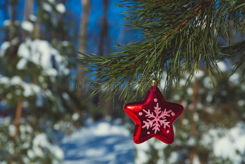 Christmas Pendant Toy Figure Star Hanging on a Christmas Tree Branch ...
