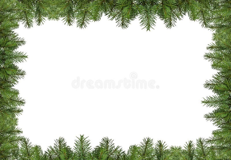 Pine frame stock vector. Illustration of festivity, christmas - 11922152