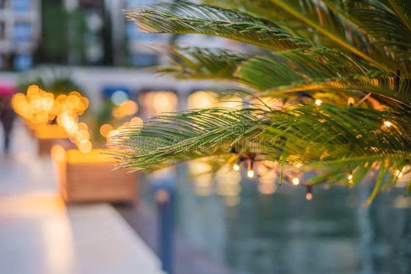 Christmas in the Port. Montenegro, Porto Montenegro Stock Image - Image ...