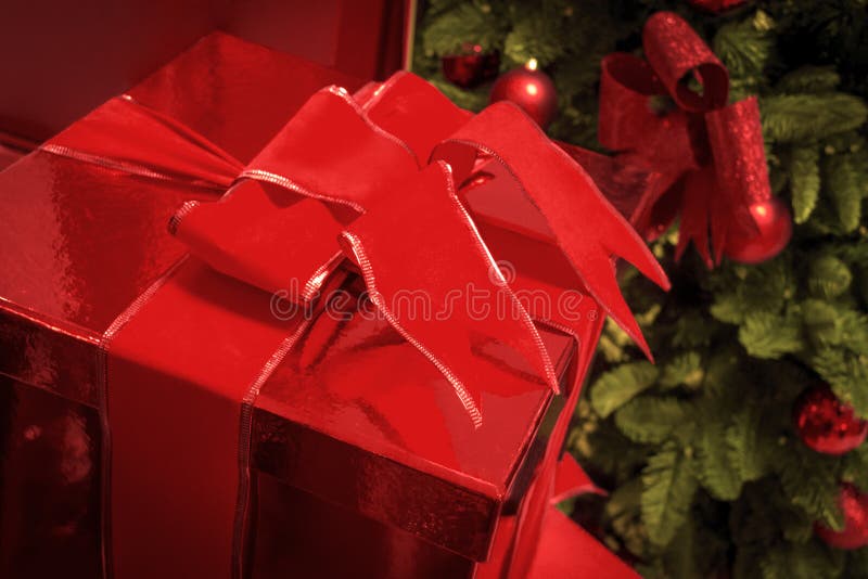 Christmas Present in Front of the Three Stock Photo - Image of winter ...