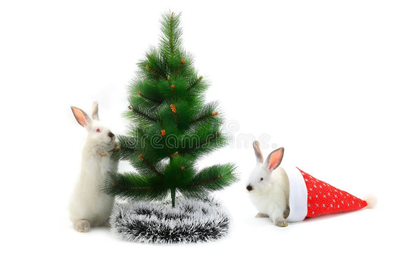 Christmas Rabbit Under the Christmas Tree. White Cute Rabbit. Happy New ...