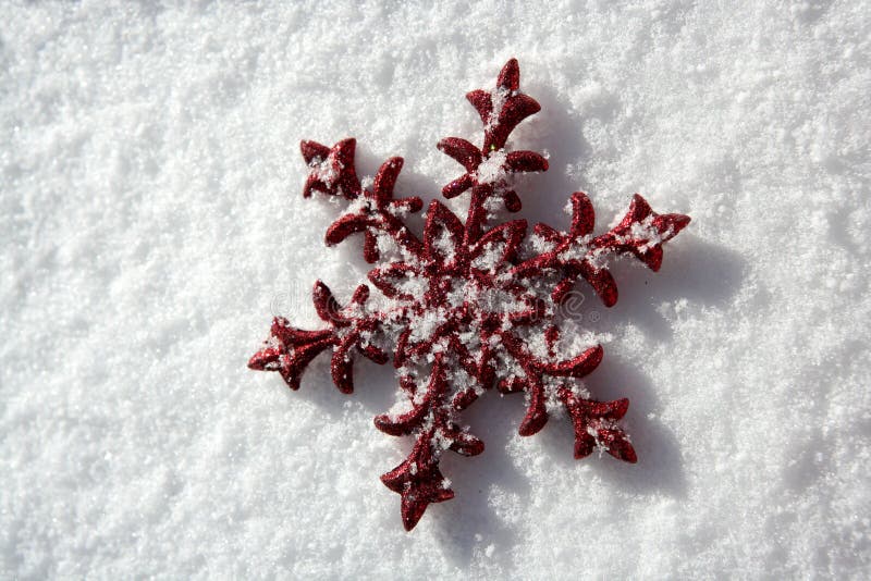 Christmas Red Star in a Snow Day Stock Photo - Image of party, cold ...
