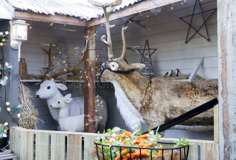 Christmas reindeer display stock photo. Image of display - 63314608