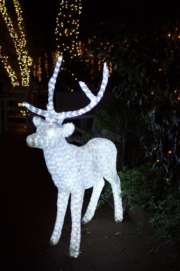 2,657 Mini Lights Stock Photos - Free & Royalty-Free Stock Photos from ...