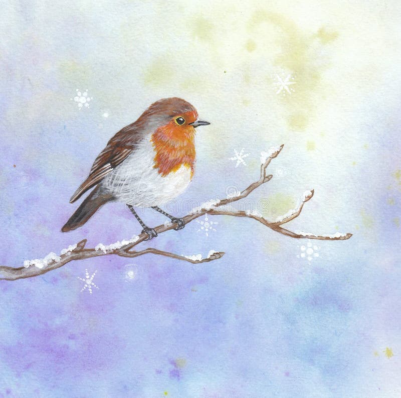 Christmas robin stock illustration. Illustration of robin - 24967561