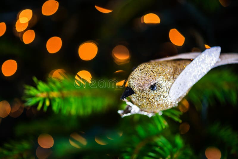 Christmas Robin in Snow Looking To Sky Stock Photo - Image of ...