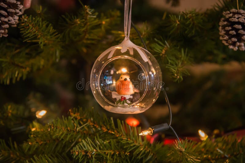 Christmas Robin in Christmas Tree Stock Image - Image of christmas ...