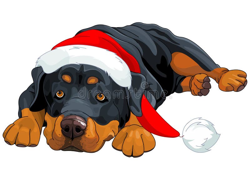 Christmas Rottweiler stock vector. Illustration of christmas - 62229013