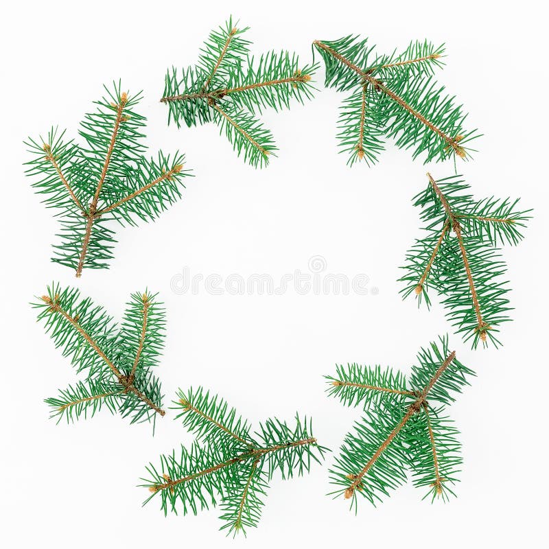 Christmas Round Frame of Winter Trees on White Background. Flat Lay ...