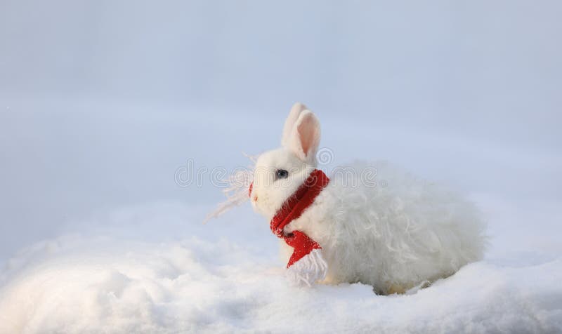 Christmas, Santa Claus White Rabbit in Snow Stock Image - Image of ...