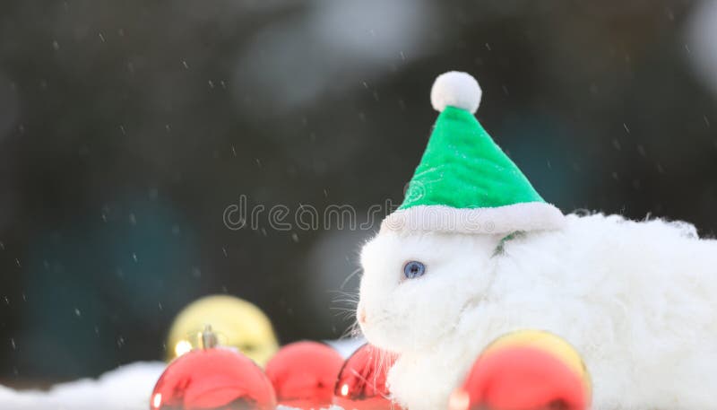 Christmas, Santa Claus White Rabbit in Snow Stock Photo - Image of ...