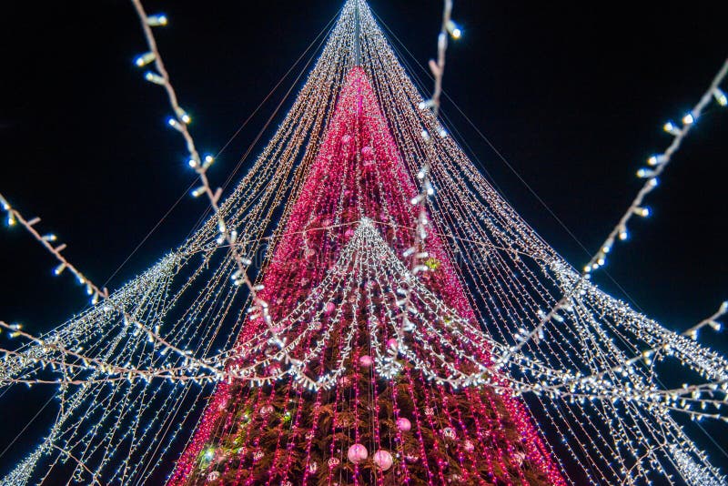 Christmas Season, Tree with Illuminated Lights Stock Image - Image of ...