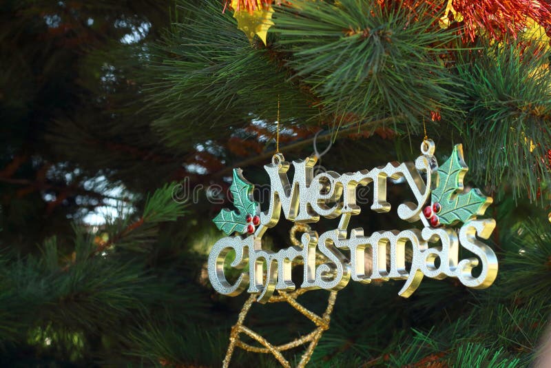 Christmas Signs Hanging on the Christmas Tree Stock Image - Image of ...