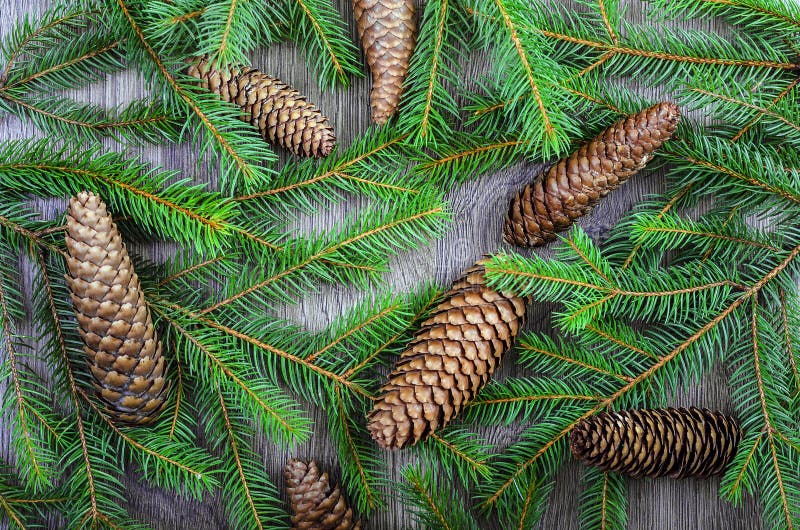 Christmas spruce frame stock photo. Image of pinecone - 34371878