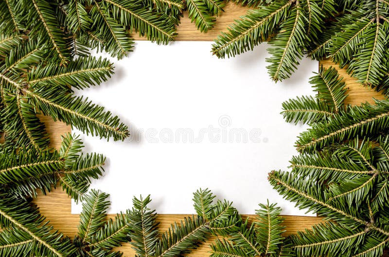 Christmas spruce frame stock photo. Image of pinecone - 34371878