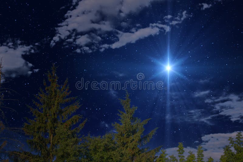 Christmas Star. Background with Stars and Trees in Forest Stock Photo ...