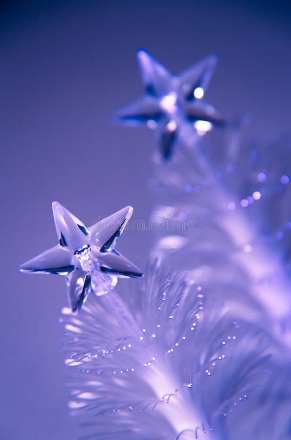 Christmas stars stock photo. Image of xmas, tree, glass - 19187900