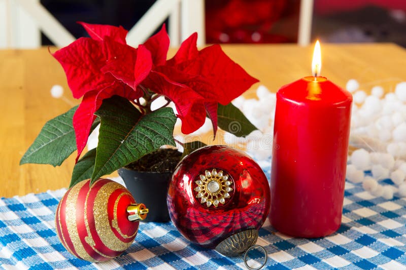 Christmas still life stock image. Image of blue, poinsetta - 28208767