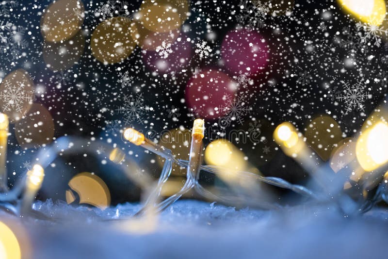 Christmas String Lights in Snow Stock Image - Image of card ...