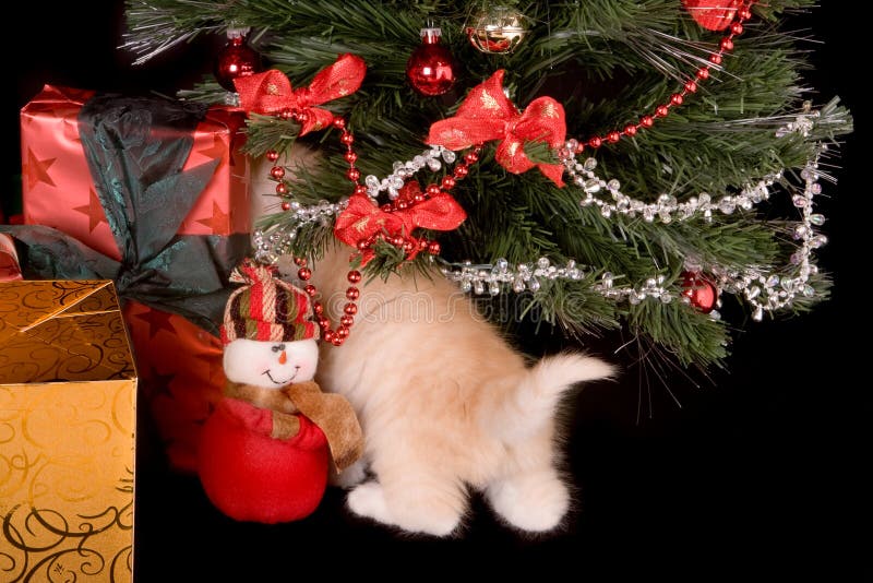 Christmas tail stock image. Image of tail, young, looking - 6839101