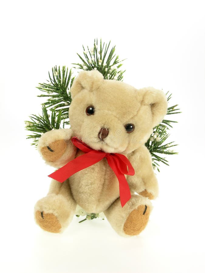 Christmas Teddy Picture. Image: 390707