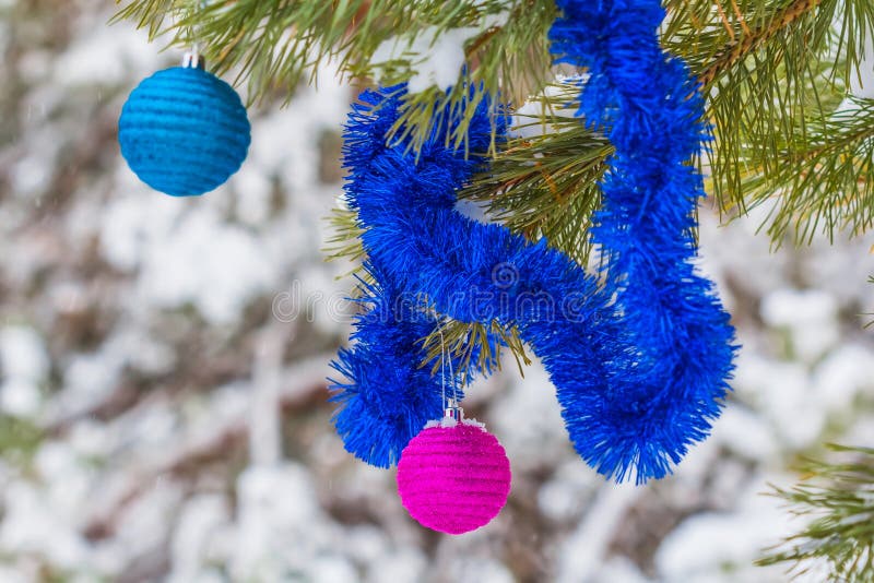 Christmas Toys on a Pine Tree Branch Stock Image - Image of season ...