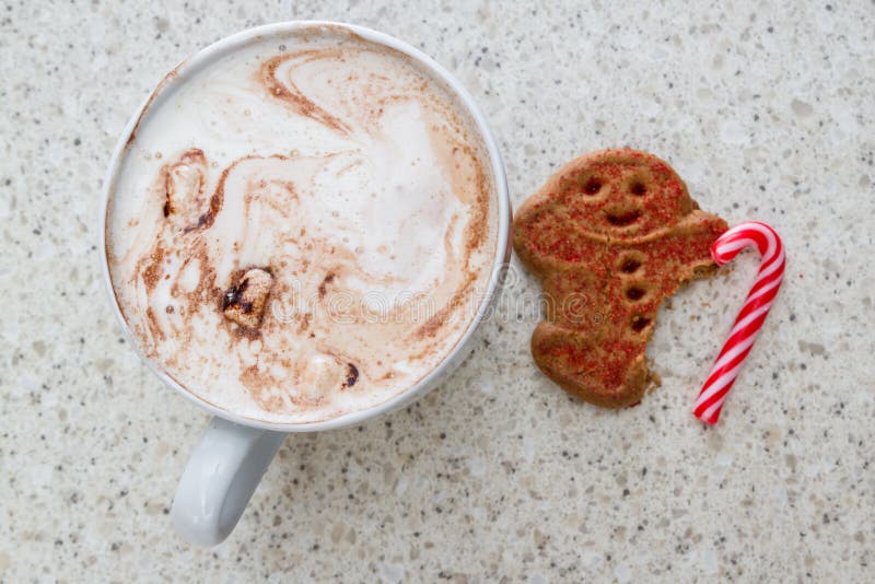 Christmas treats stock photo. Image of milk, mocha, cookies - 47442674