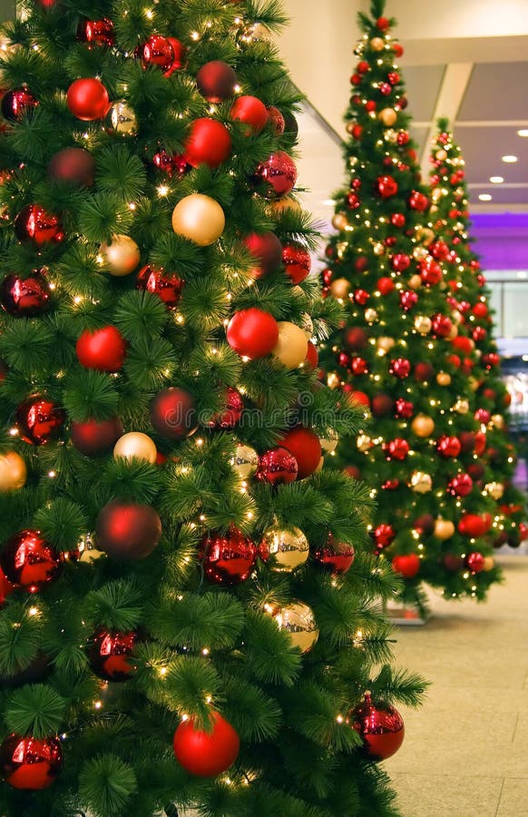 Large Indoor Decorated Christmas Tree Stock Photo - Image of inside ...