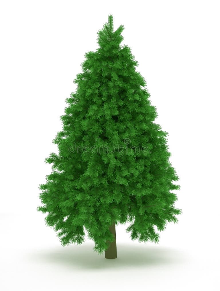 Undecorated Christmas Tree Stock Illustrations – 144 Undecorated ...